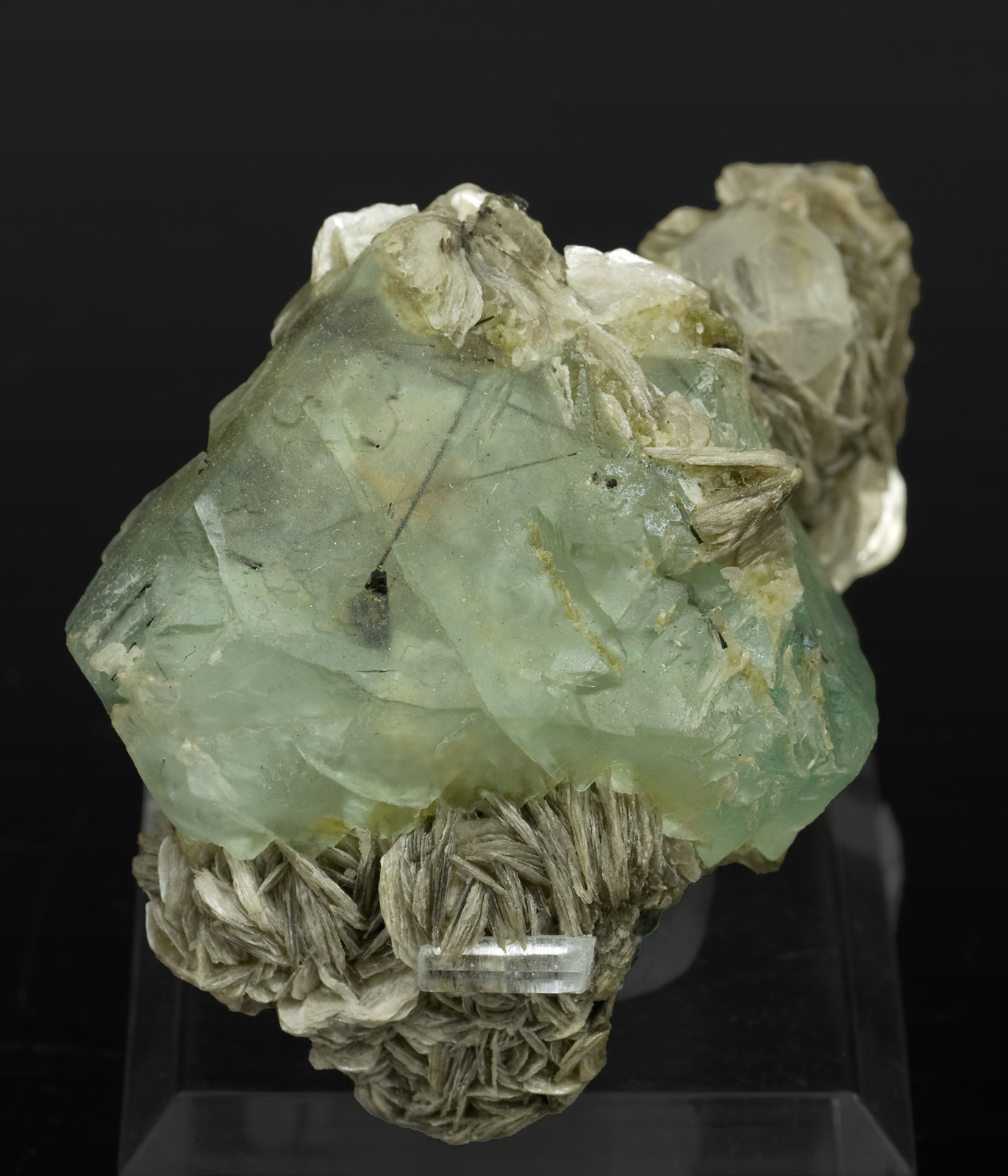Octahedral Fluorite with Muscovite, Schorl, Fluorapatite and Beryl ...