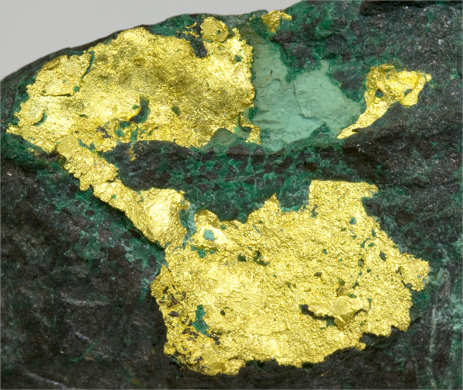 Gold with Malachite and Chalcocite - La Compañía Mine, Caracoles ...