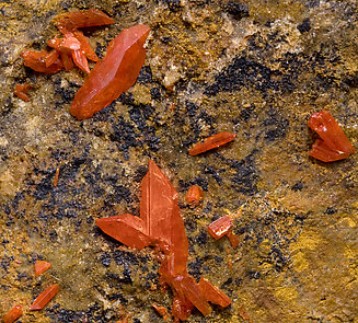 Mineral Specimen: Crocoite - Fabre Minerals