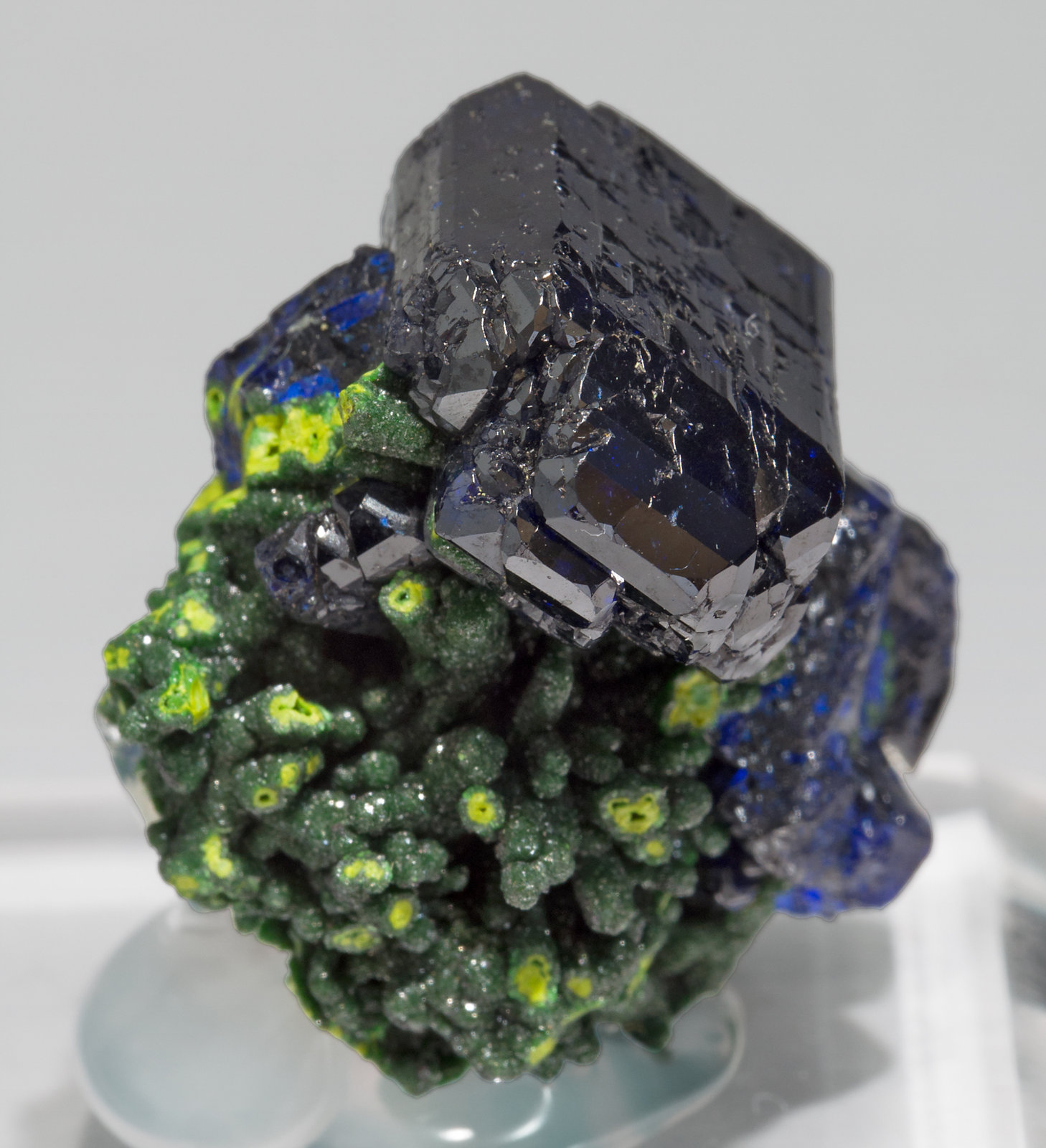 Azurite - Tsumeb Mine, first oxidation zone, Tsumeb, Otjikoto Region ...