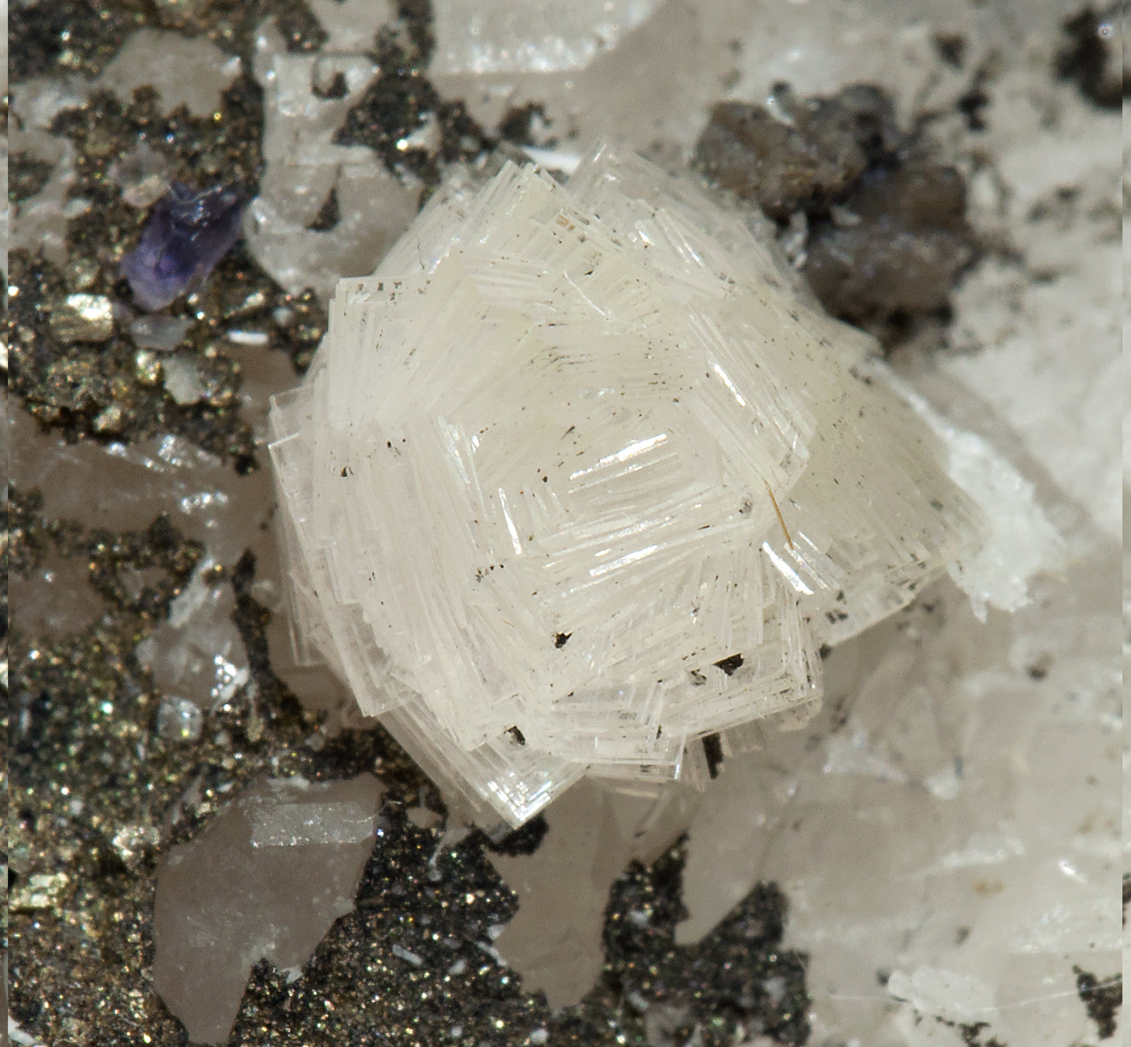 Bavenite with Pyrite, Fluorite and chlorite - Venero I Quarry (Cadalso ...