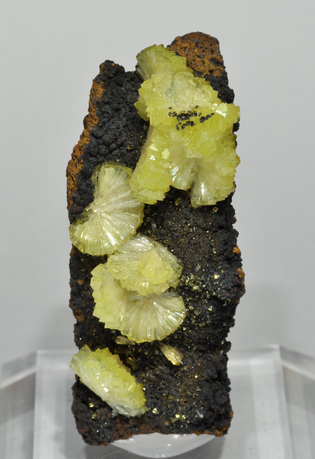 Adamite - Ojuela Mine, Mapimí, Municipio Mapimí, Durango Mexico | Fabre ...