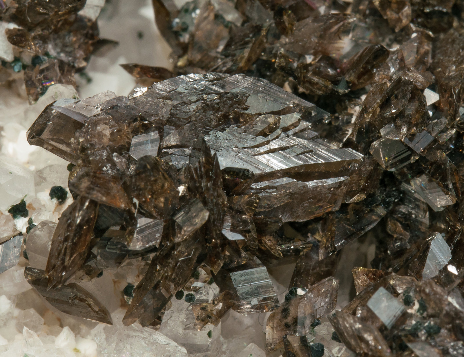 Axinite-(Fe) with Quartz and Albite - Sayan, Huaura Province, Lima ...