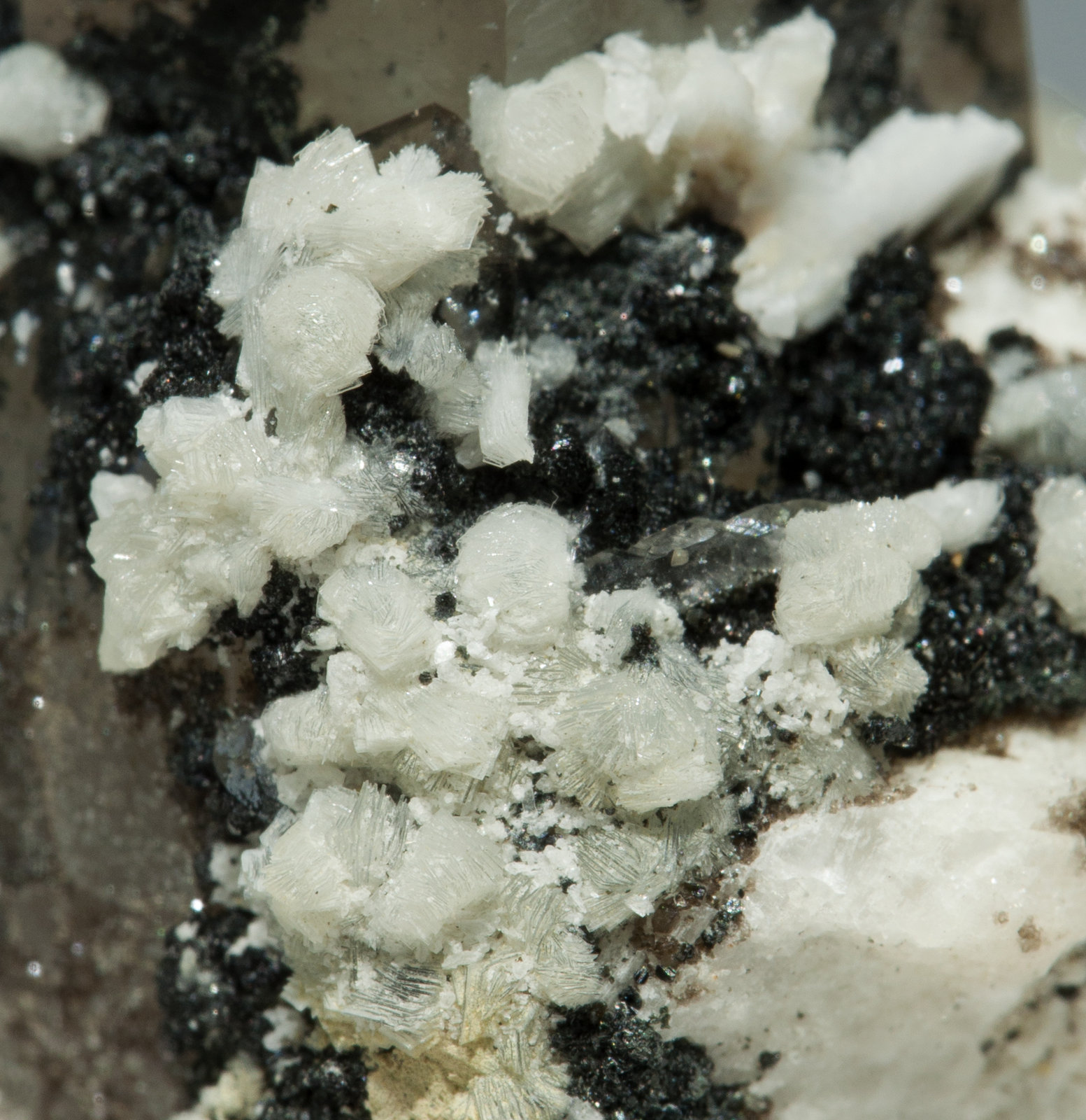 Bavenite with smoky Quartz, Chlorite and Garnet - Valdeconejillos ...