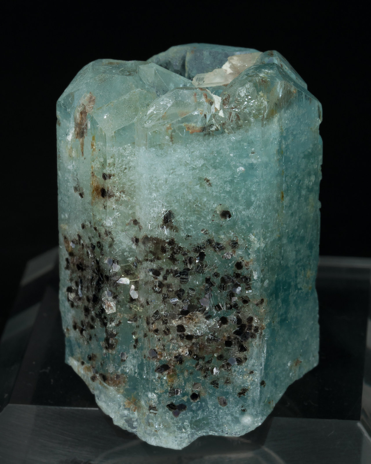 Beryl (variety aquamarine) with Muscovite and Quartz - Minas Gerais ...