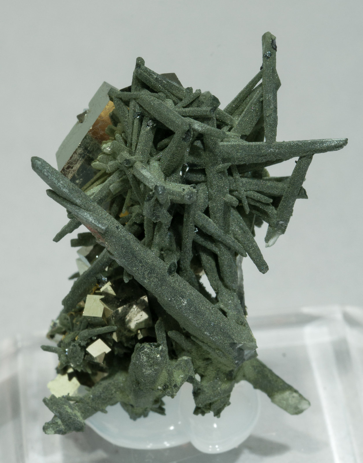 Quartz With Chlorite And Pyrite Baia Sprie Mine Baia Sprie quartz-with-chlorite-and-pyrite-baia-sprie-mine-baia-sprie
